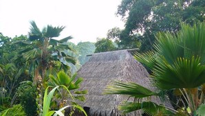 Uma cabana com telhado de palha cercada por vegetação exuberante e palmeiras.