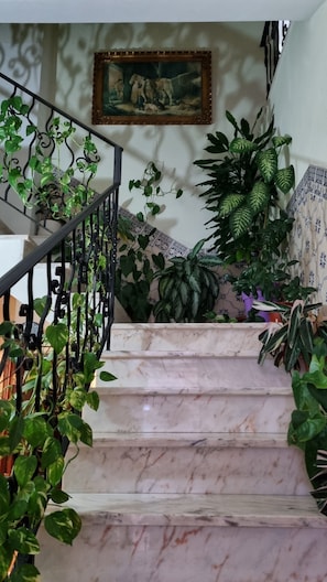 Escadas