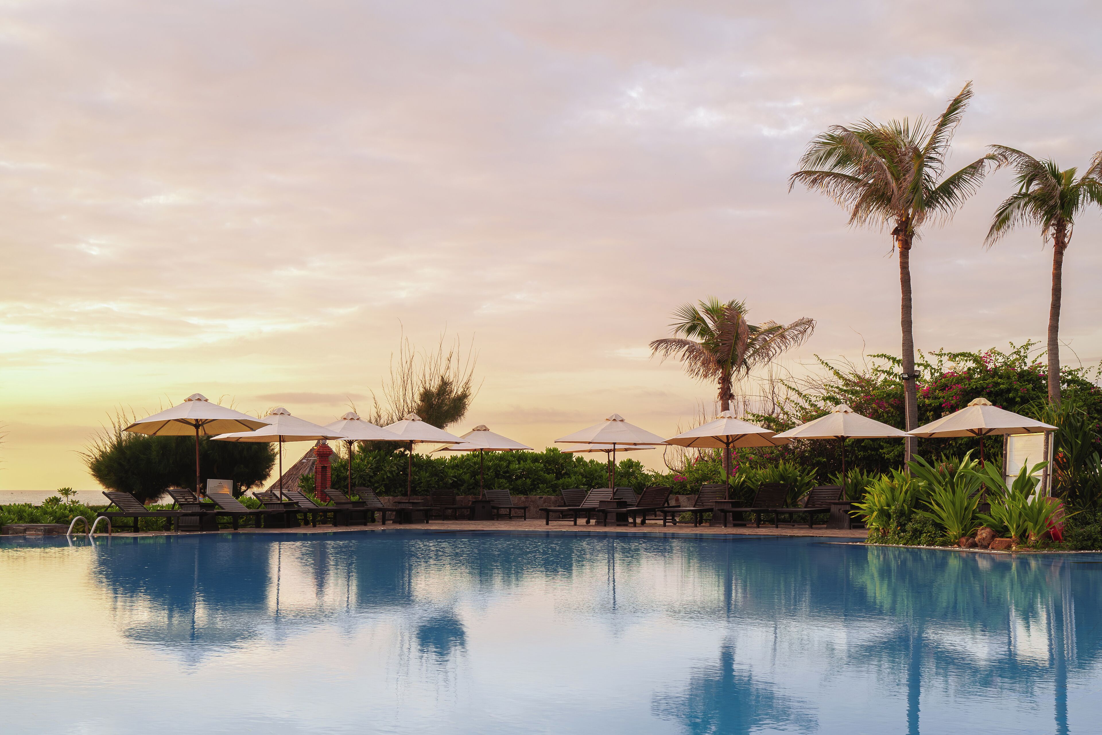 Piscina exterior, guarda-sóis, espreguiçadeiras 