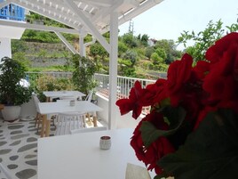 Terraço/pátio interior