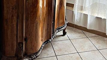 Edredões de penas, com decoração personalizada