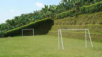 Uma área gramada com um gol de futebol e uma pequena colina coberta de vegetação densa.