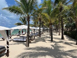 Uma praia com palmeiras, cadeiras de praia e guarda-sóis.