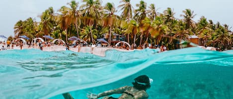 Perto da praia, mergulho