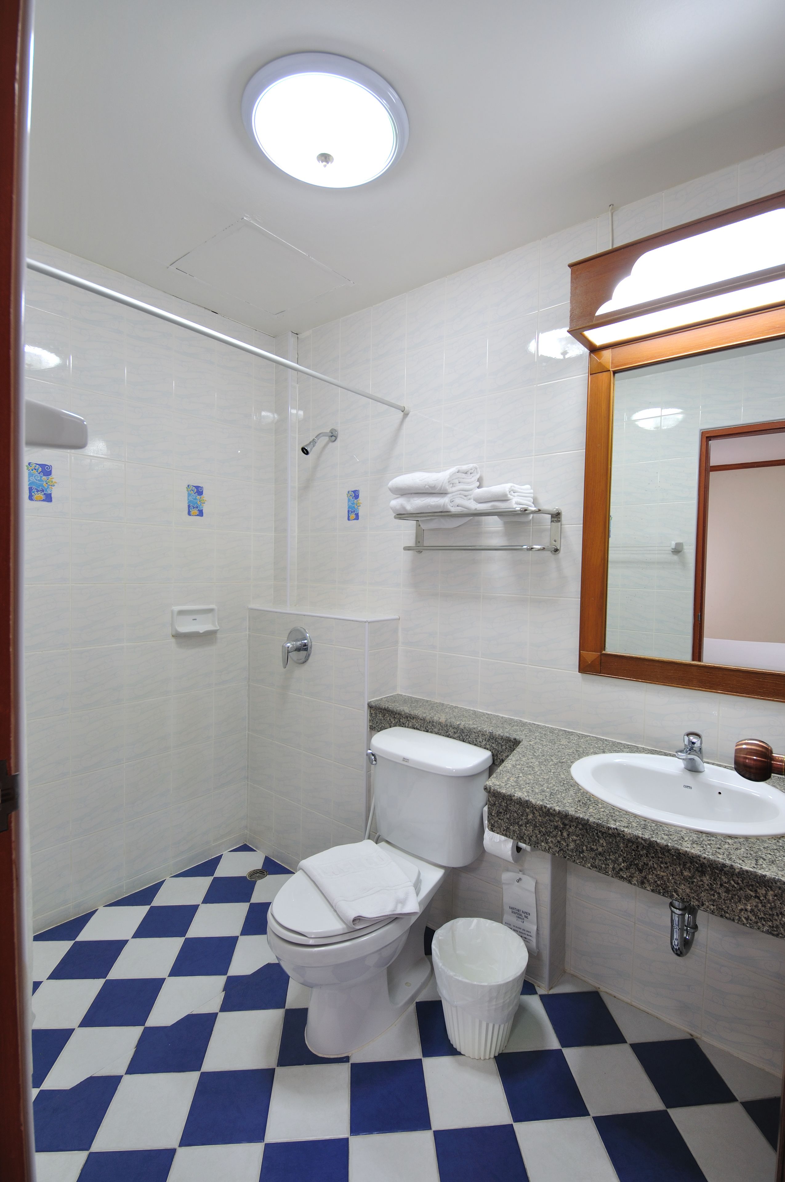 Casa de banho com sanita branca, lavatório e chuveiro.