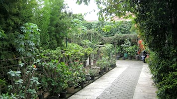 Jardim