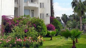 Jardim