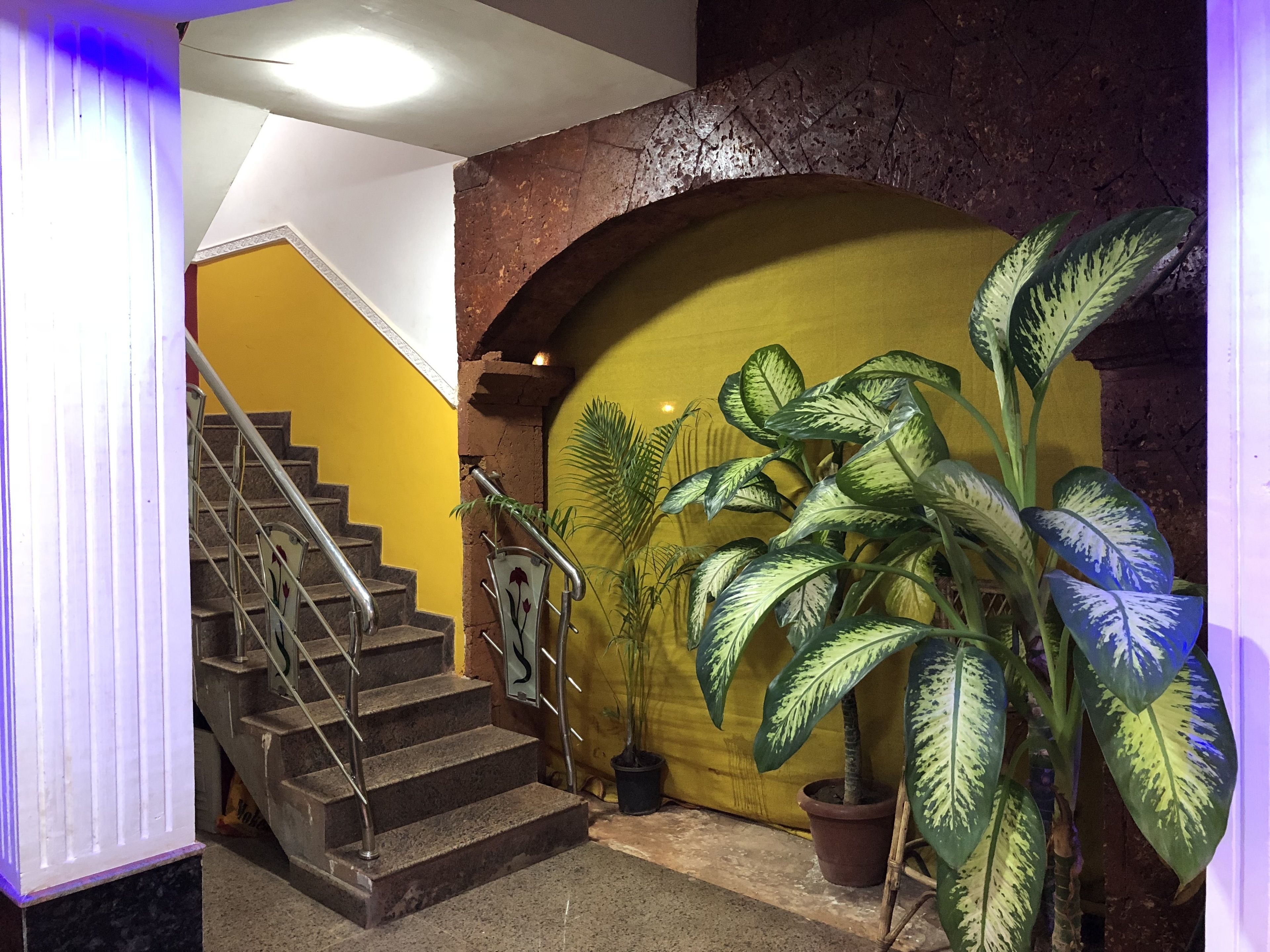Uma escadaria com corrimão de metal, uma parede amarela e uma grande planta em vaso com folhas variegadas.