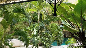 Um jardim exuberante com diversas plantas tropicais e um caminho de pedra.