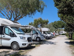 Vários veículos recreativos brancos estacionados em um caminho de cascalho, com árvores de ambos os lados.