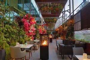 6 restaurantes, jantar, culinária internacional