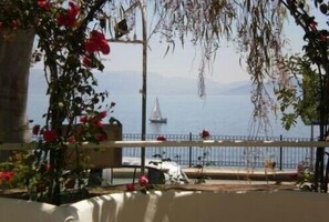 Vista da propriedade