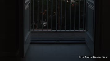 Apartamento Superior | Vista do quarto