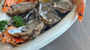 Uma seleção de frutos do mar com camarão, ostras e fatias de limão.
