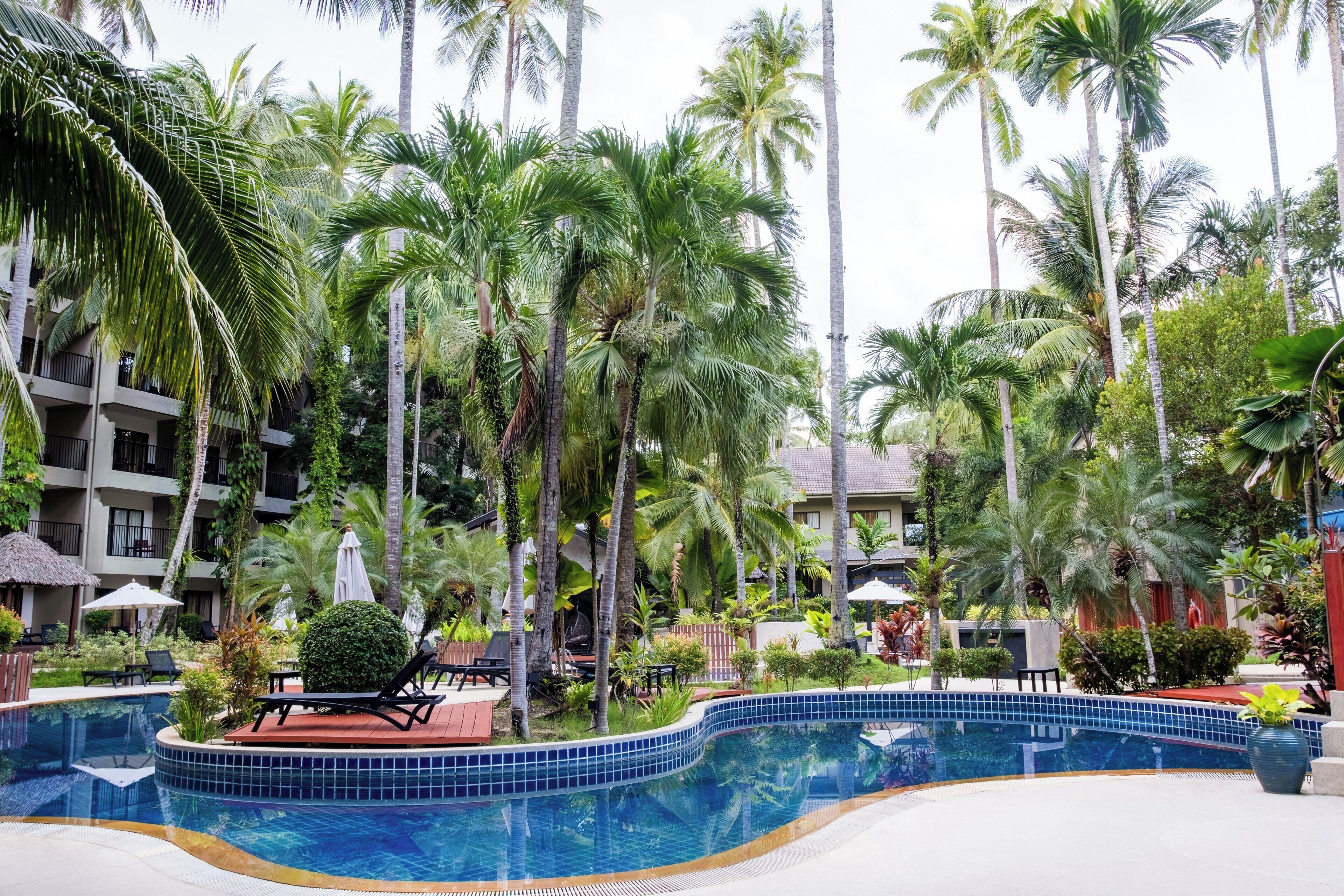 Um resort com piscina, palmeiras e espreguiçadeiras.