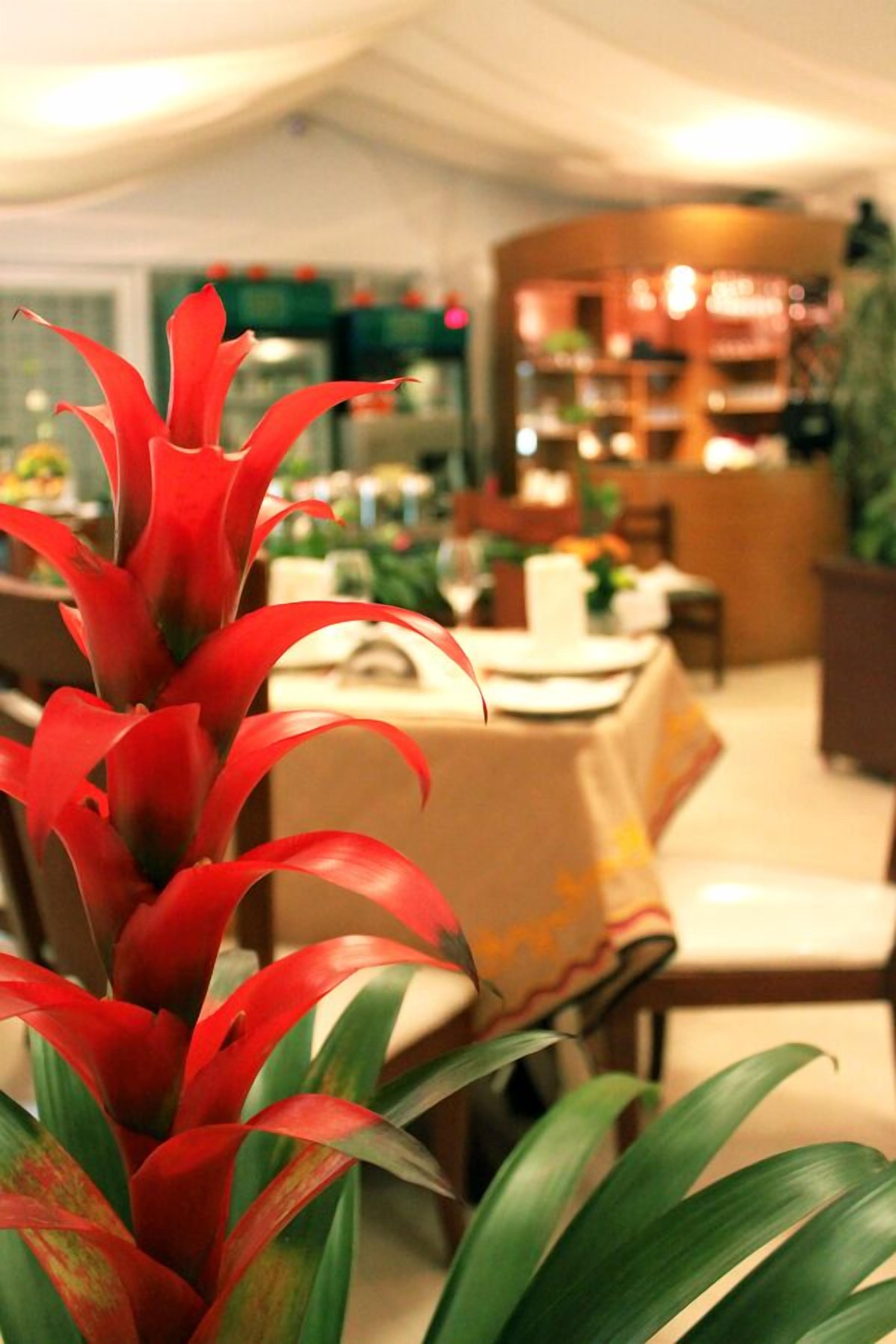 Café da manhã continental grátis todos os dias