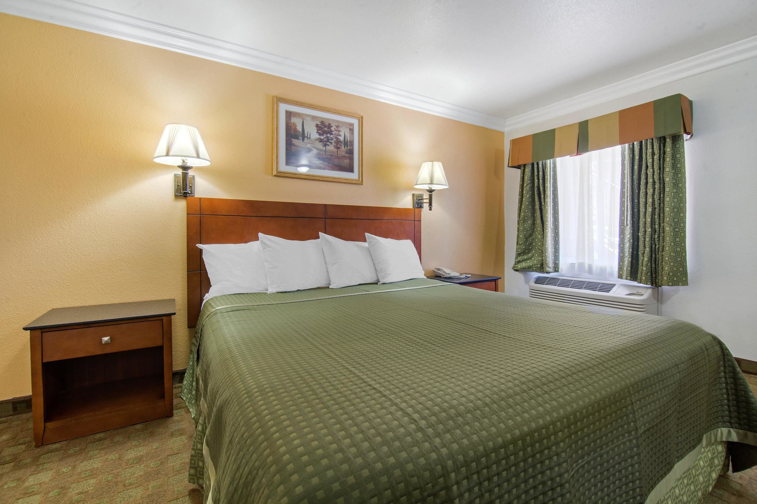 Quarto de hotel com uma cama grande, duas luminárias de cabeceira, uma mesinha de cabeceira, um quadro na parede e uma janela com cortinas.