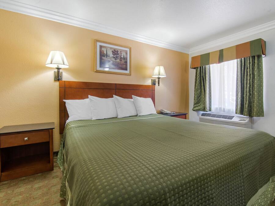 Quarto de hotel com uma cama grande, duas luminárias de cabeceira, uma mesinha de cabeceira, um quadro na parede e uma janela com cortinas.