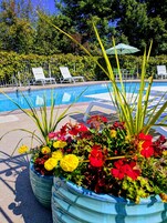 Piscina exterior sazonal 