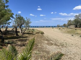 Uma praia arenosa com vegetação rala e um céu azul límpido.