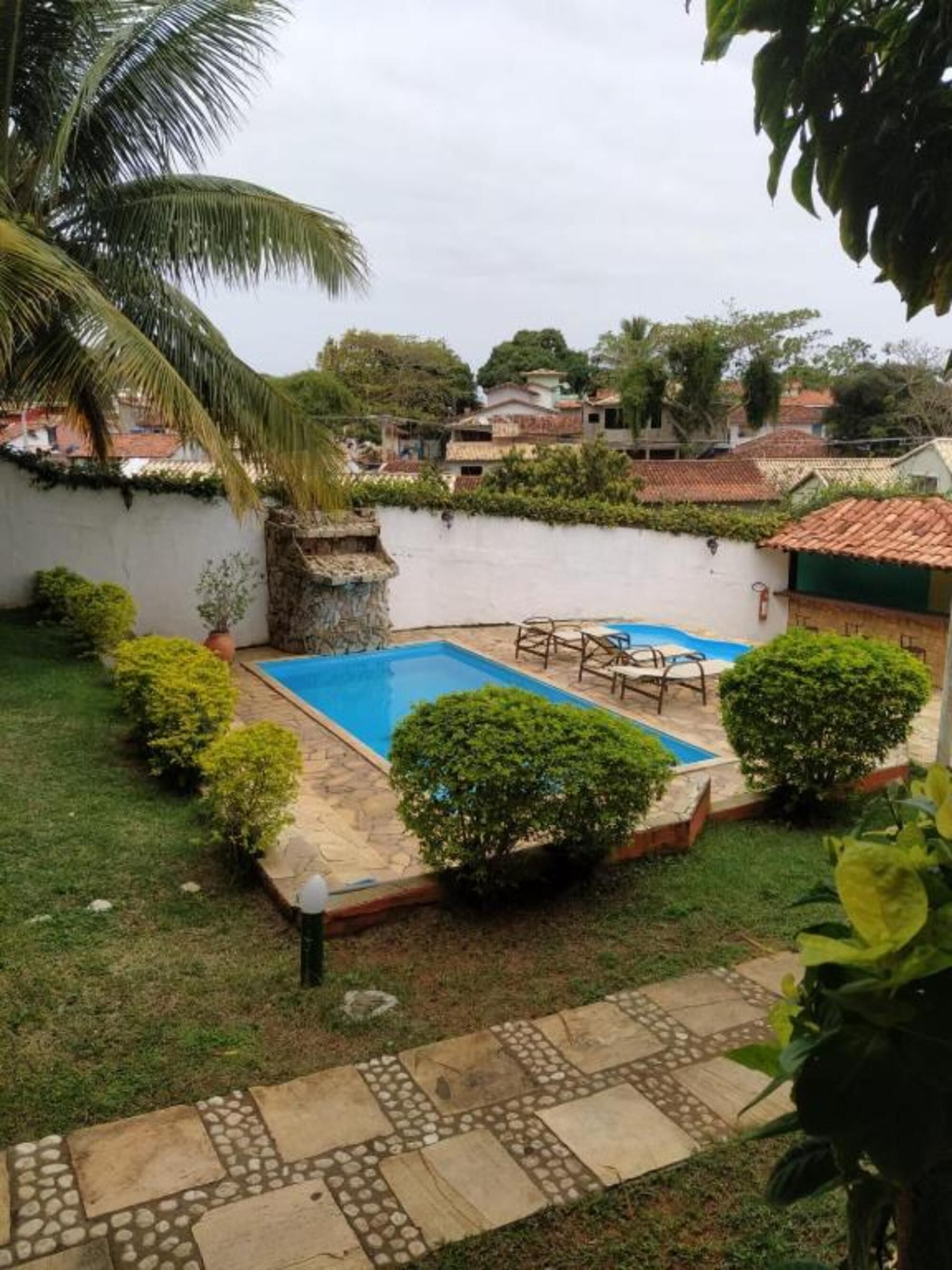 Um quintal com piscina, rodeado por um muro branco, pequenos arbustos e uma palmeira.