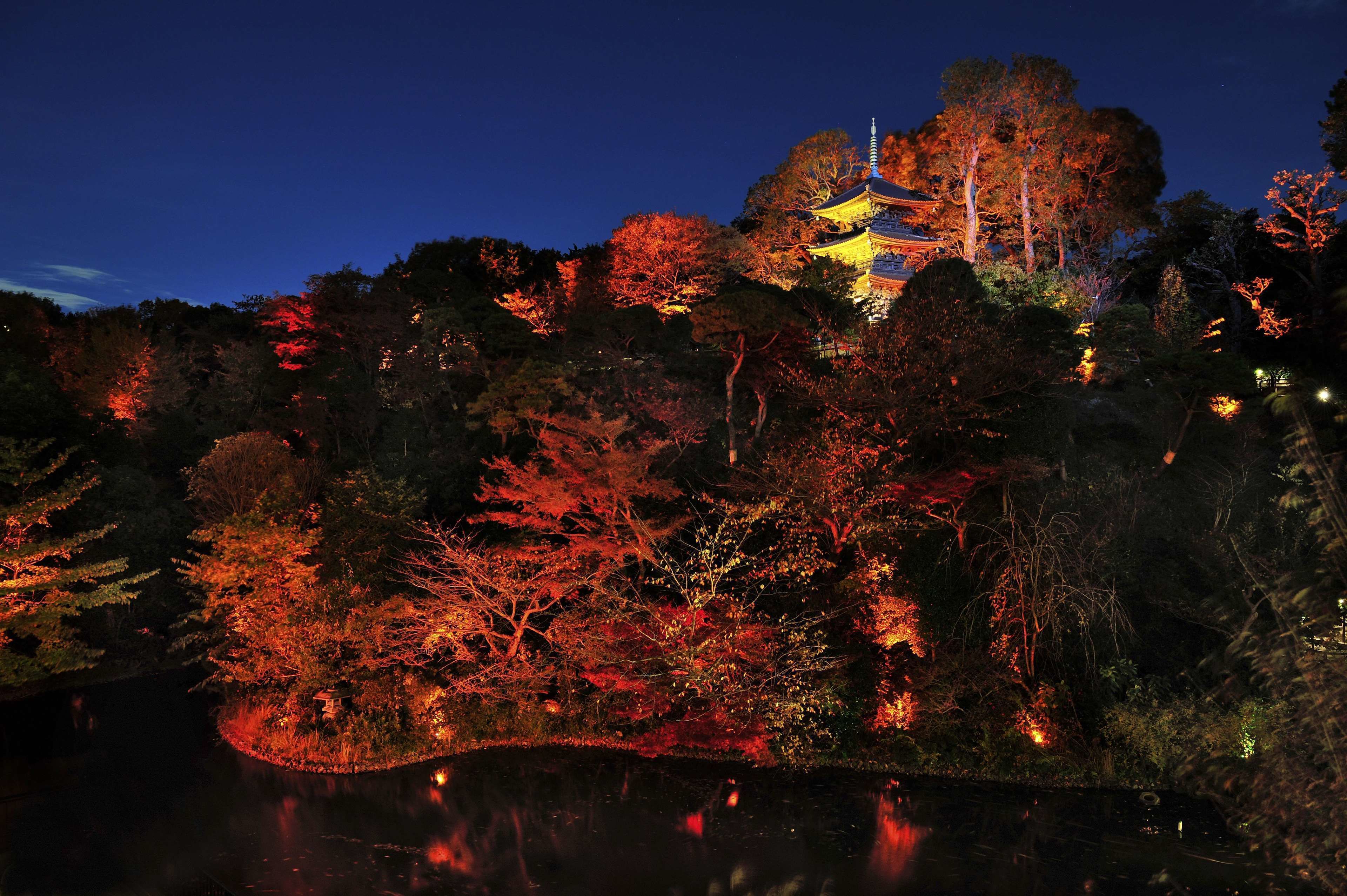 Um pagode japonês tradicional refletido em águas calmas, cercado por árvores com folhagem outonal.