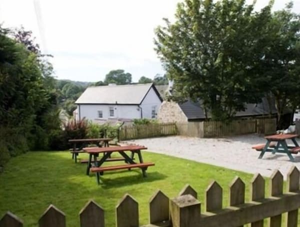 The Black Swan - Cornwall