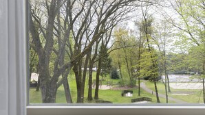 Visão pela janela de um parque com árvores e um caminho.