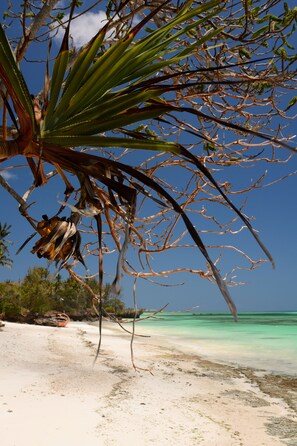 Praia particular, espreguiçadeiras, guarda-sóis, toalhas de praia 
