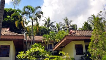 Piscina exterior, guarda-sóis, espreguiçadeiras