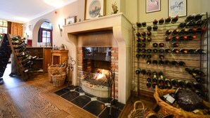 Um quarto acolhedor com lareira, um espaço para vinhos e piso de madeira.