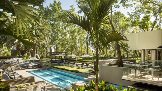 Uma área de piscina com espreguiçadeiras, uma piscina pequena e vegetação ao redor.