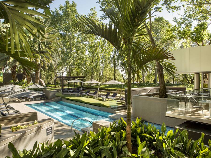 Piscina exterior, guarda-sóis, espreguiçadeiras