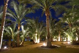 Área da propriedade