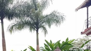 Jardim
