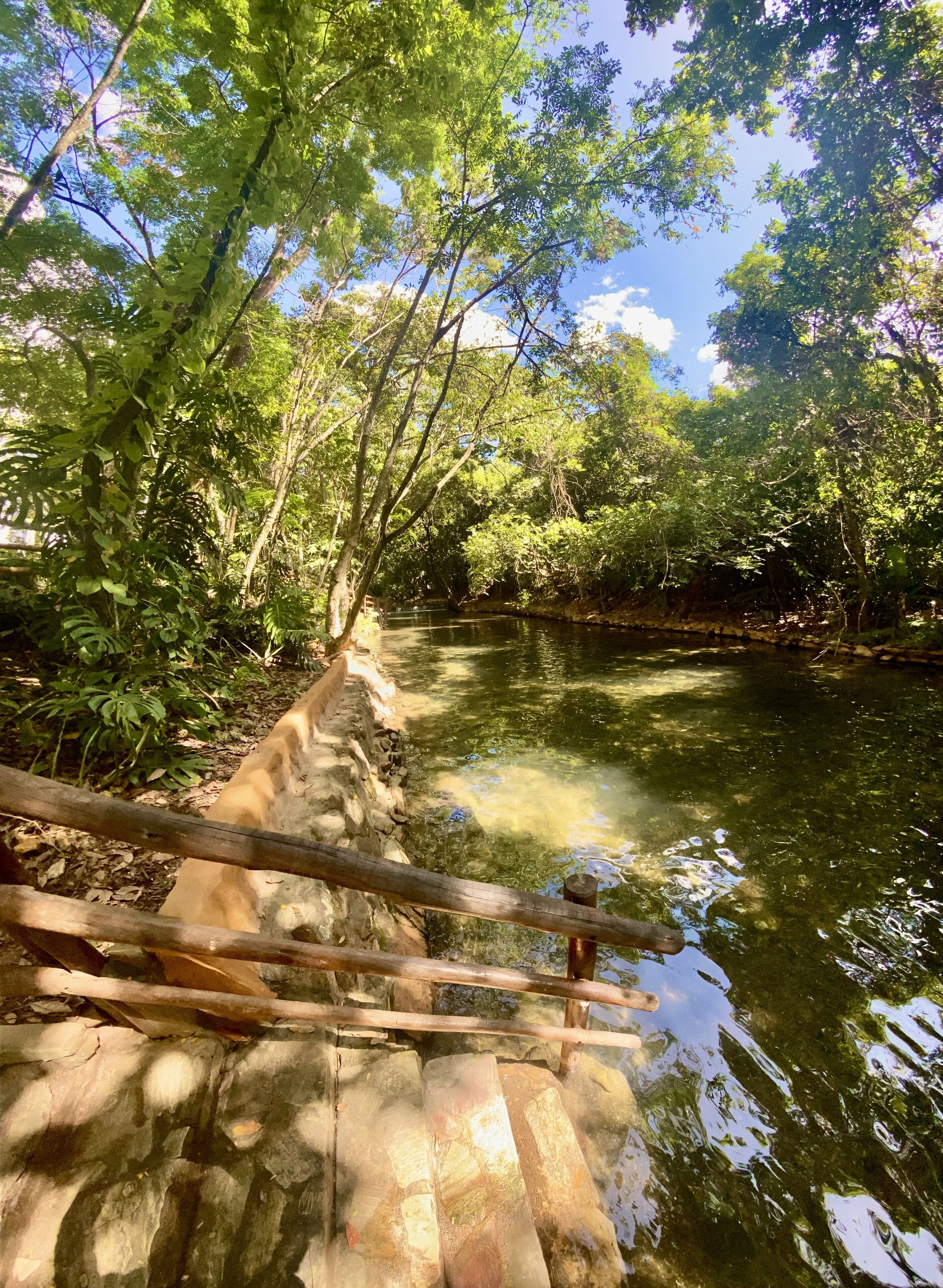 Uma ponte de madeira sobre um rio calmo, rodeada por vegetação densa.