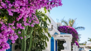 Um edifício branco com detalhes em azul, rodeado por vegetação exuberante e flores de buganvillea roxas.