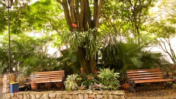 Jardim