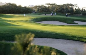 Golfe