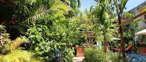 Terrenos do alojamento