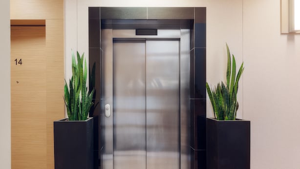 Um elevador com acabamento metálico, ladeado por duas plantas em vasos.