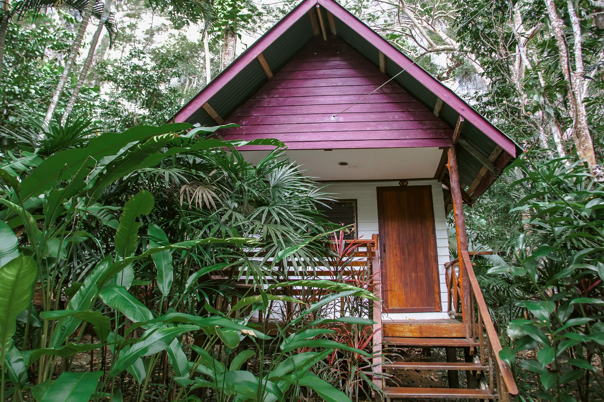 Uma cabana rústica e pequena com telhado roxo, rodeada por folhagem tropical densa.