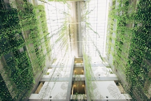 Pequeno-almoço tipo buffet diário (60000 IDR por pessoa)