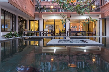 Piscina. Potala Guest House