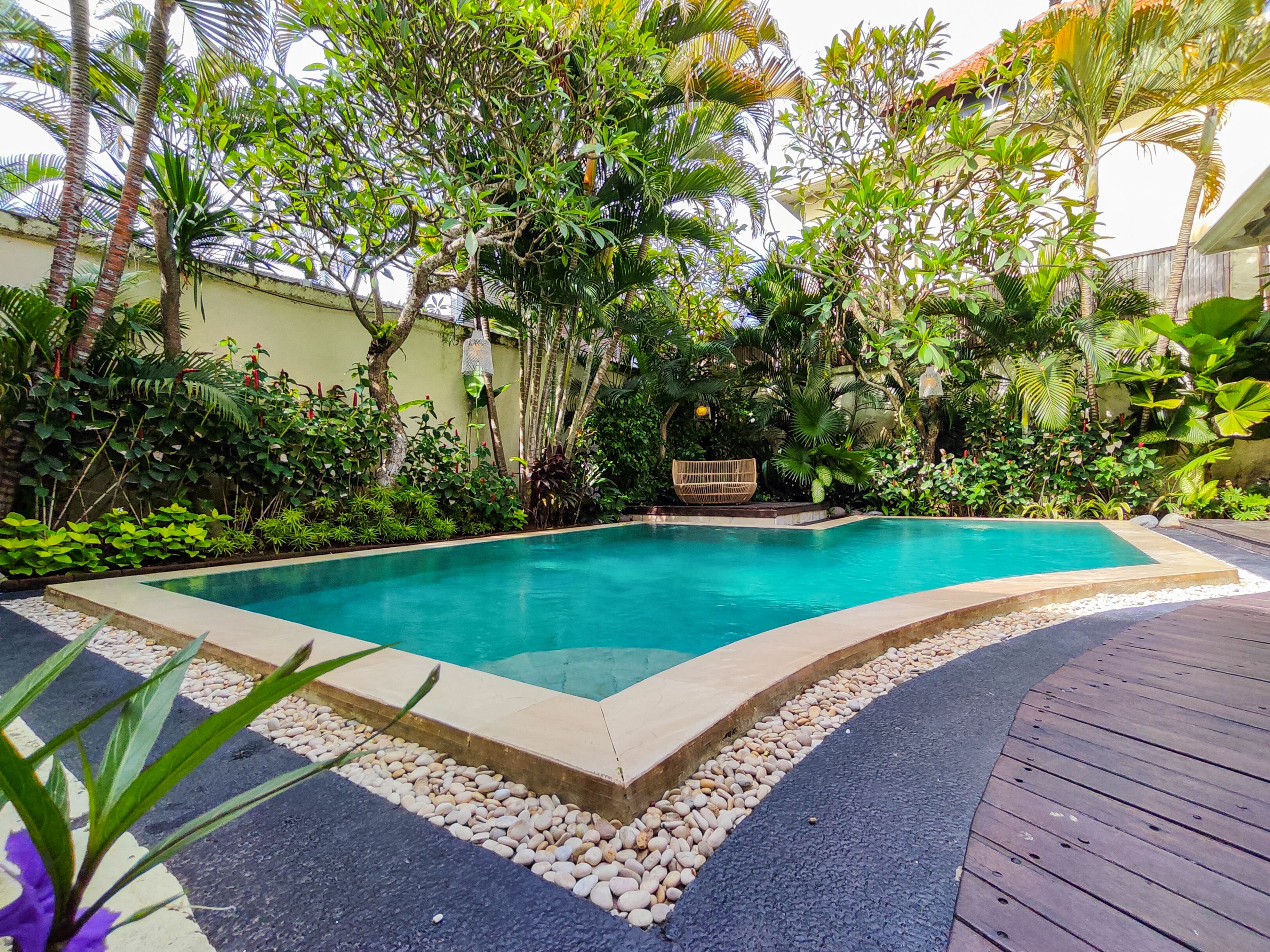 Piscina retangular rodeada por plantas tropicais e um deque de madeira.