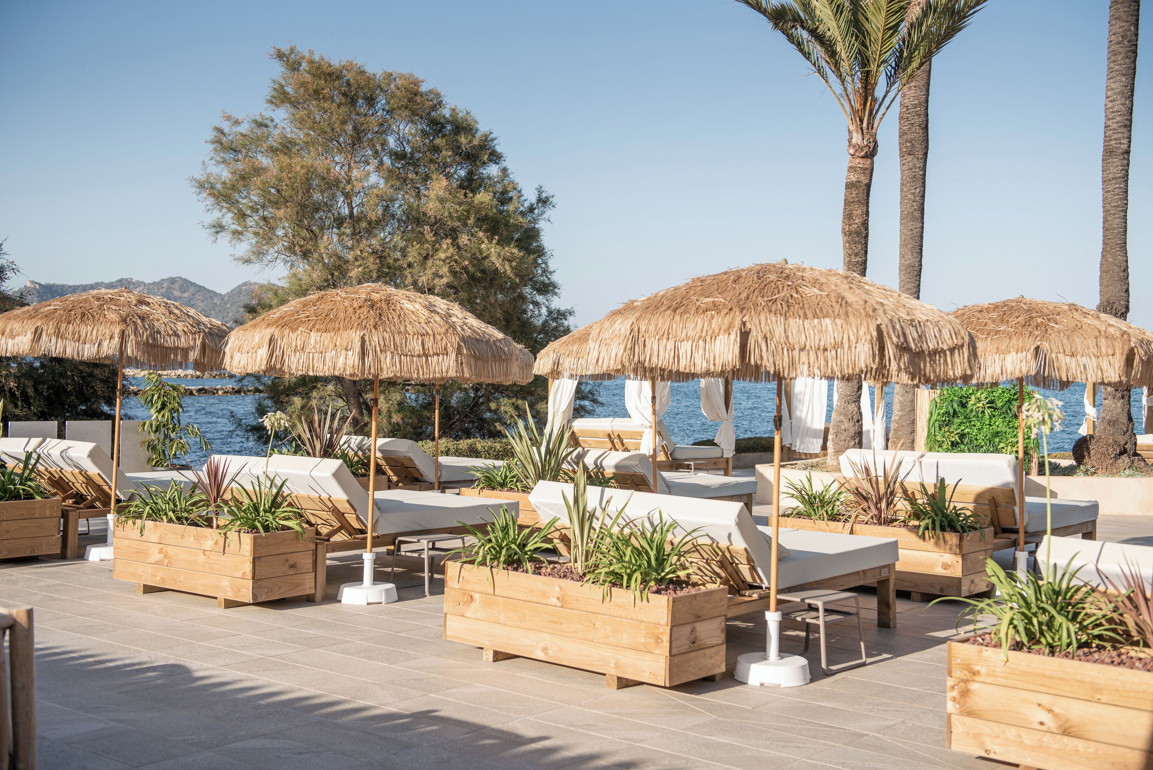 Bar de praia