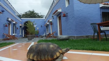 Parte interna