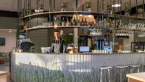 Uma área de bar com balcão curvo, prateleiras com garrafas e copos, e banquetas.