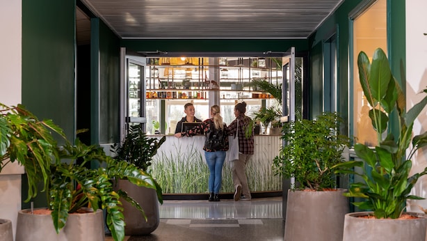 Uma área de recepção com porta de vidro, plantas em vasos e um balcão.