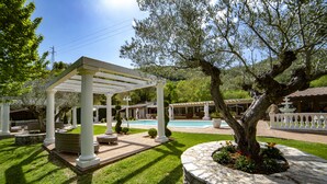 Um jardim com pérgola, piscina e uma grande árvore.